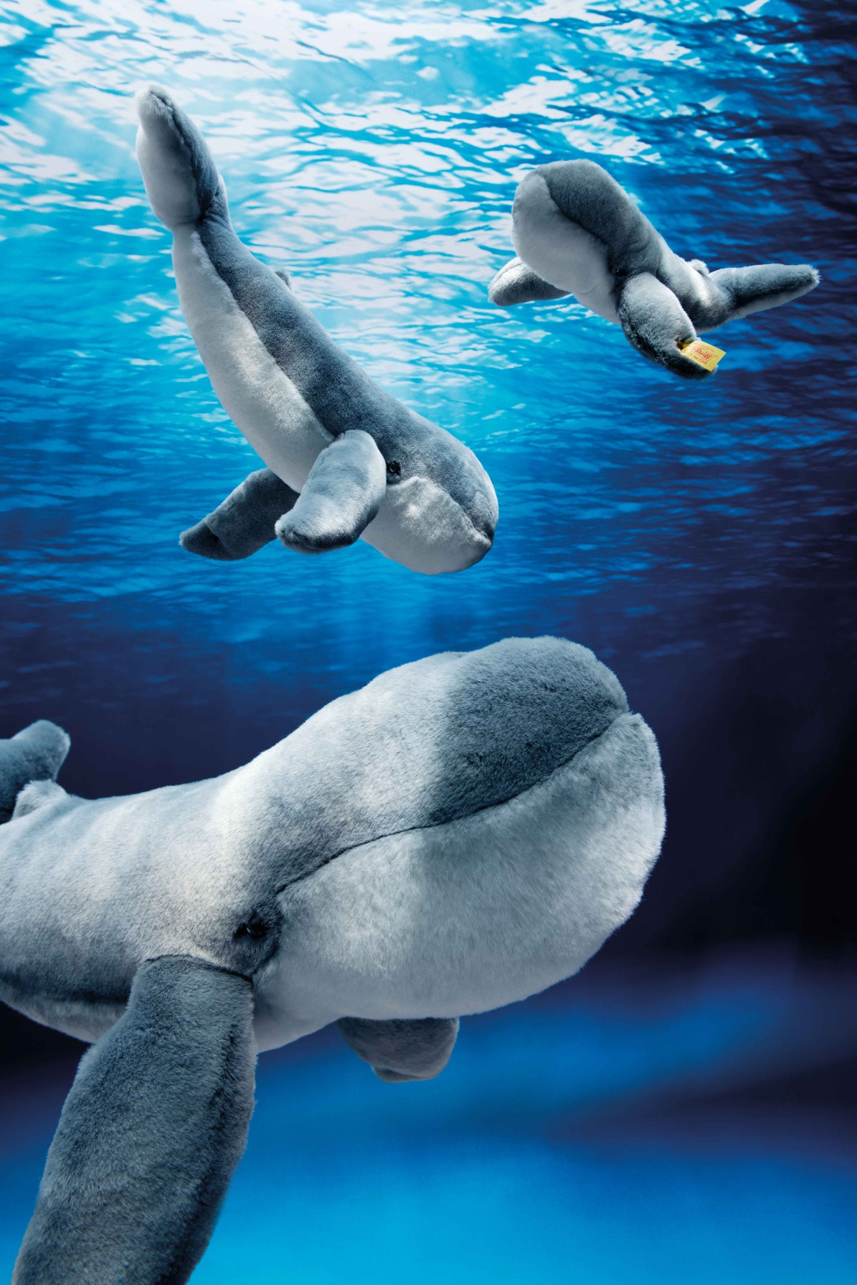 Blauwal Baby - Steiff.com