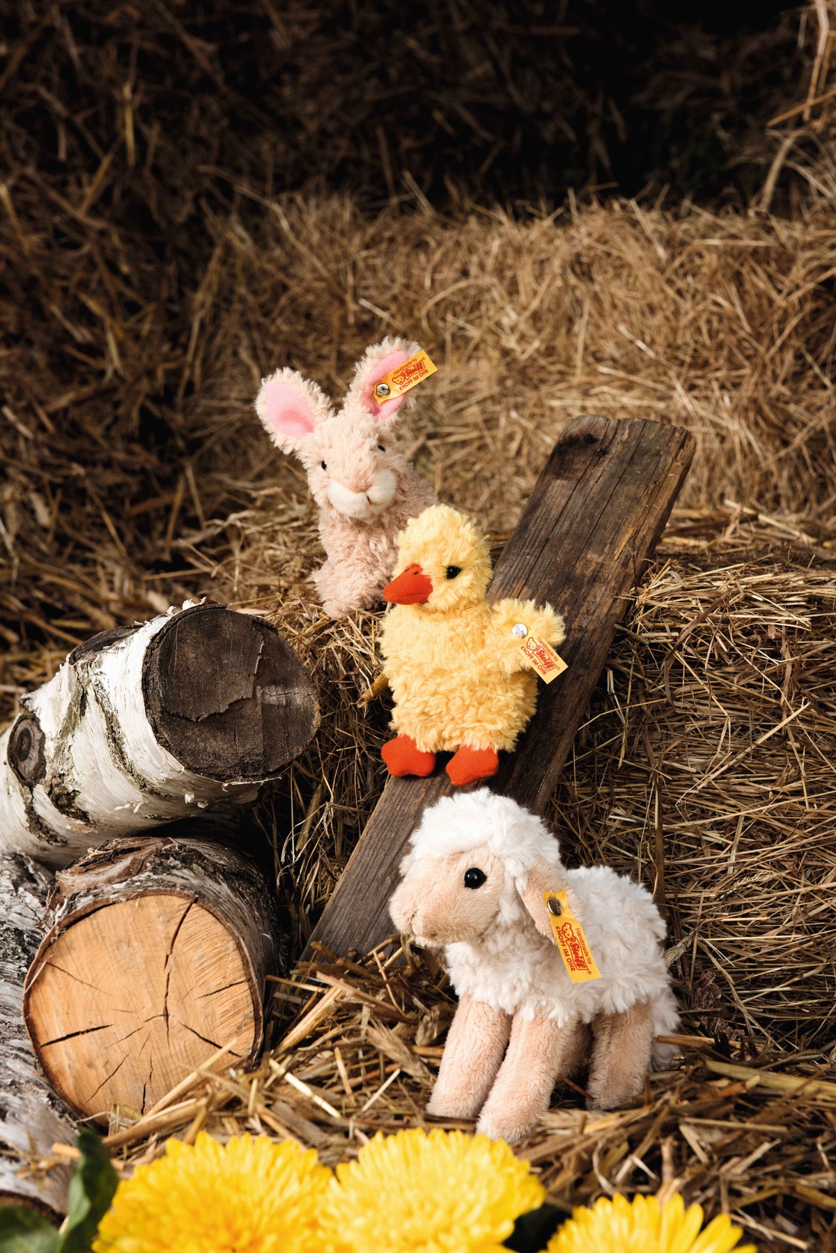 Piepsi Küken - Steiff.com