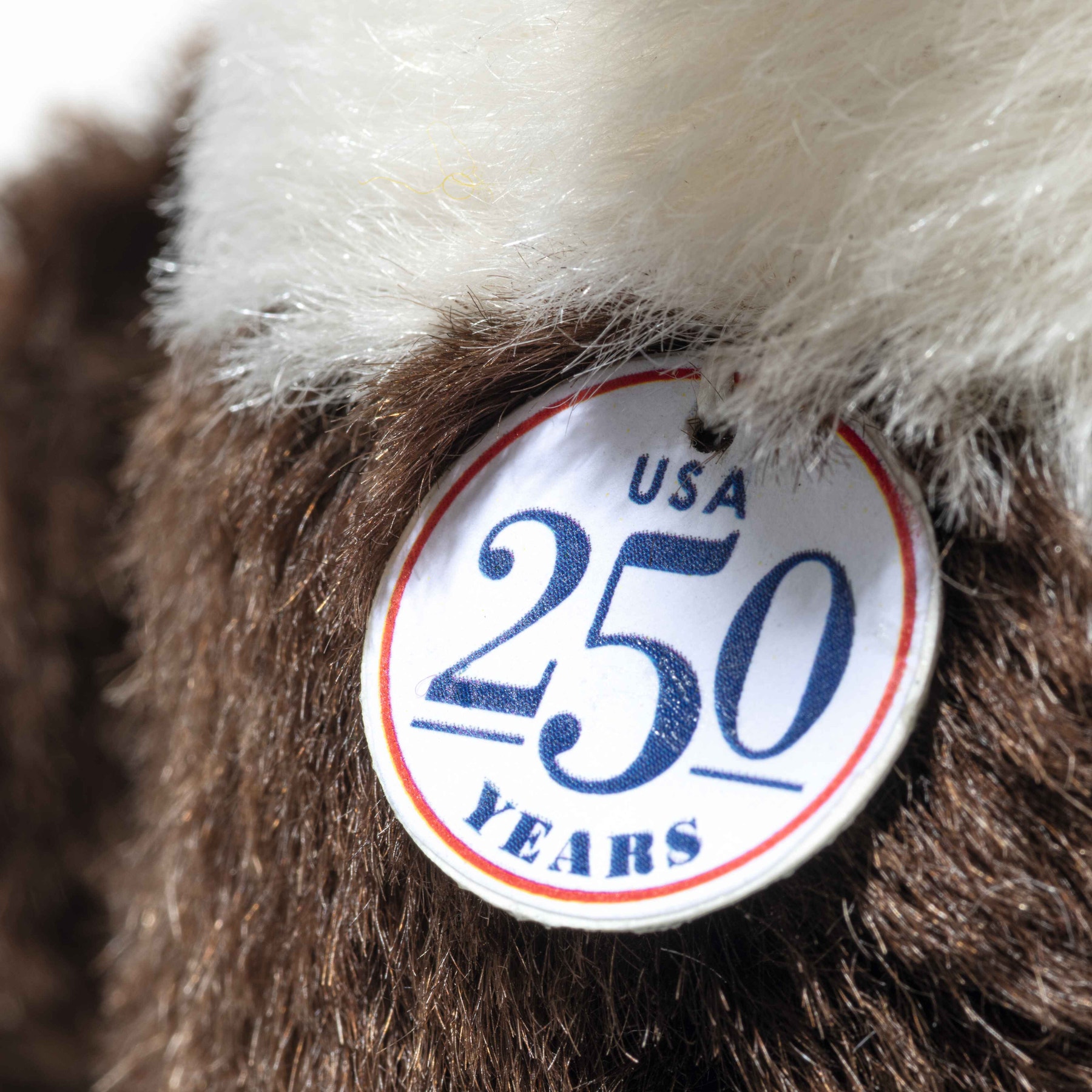 Great American Eagle 250th Anniversary, 7 in, multicolored