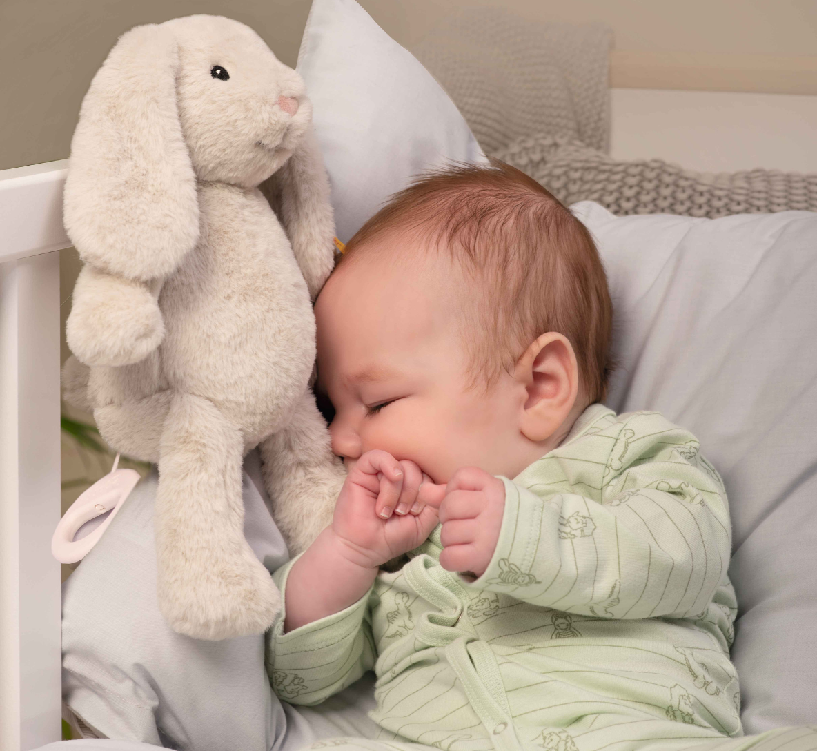 Steiff Holiday Gift Guide 2023 - Christmas Collectibles for Adults and ...