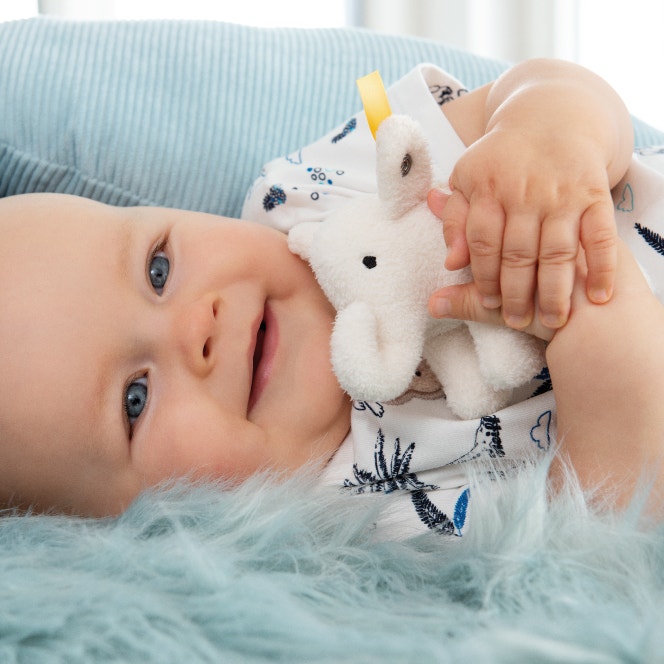 Steiff USA Official Site - Stuffed Animals for Children and ...